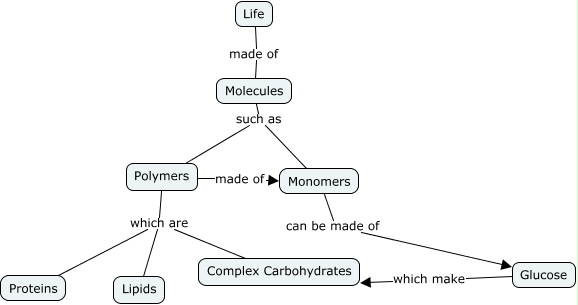 Polymers and Monomers (Classwork)