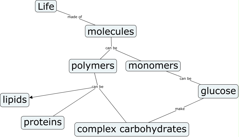 Chemistry of Life Concept Map - What is chemistry of life?