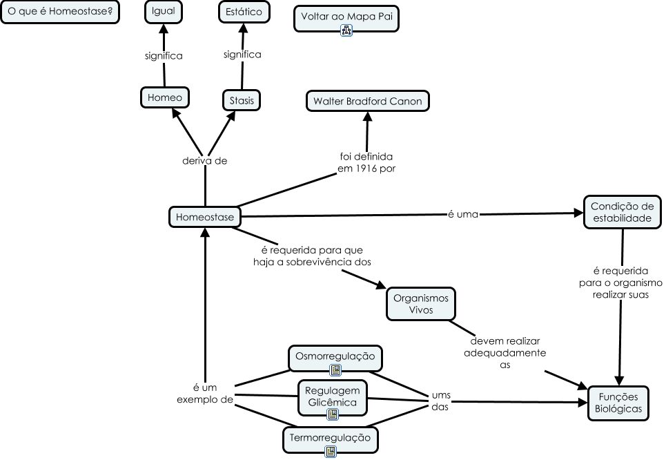 O que é Homeostase - O que é Homeostase?
