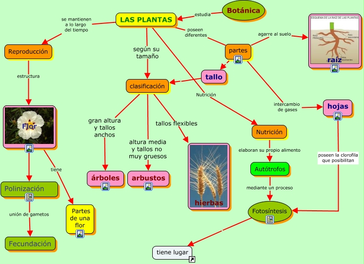 Las_Plantas - Características