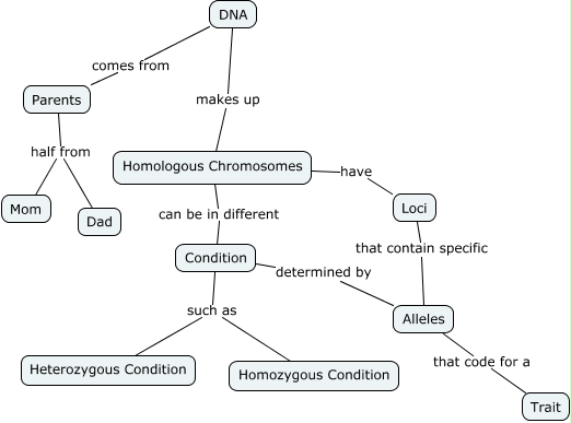 Inheritance - How are traits passed to offspring?