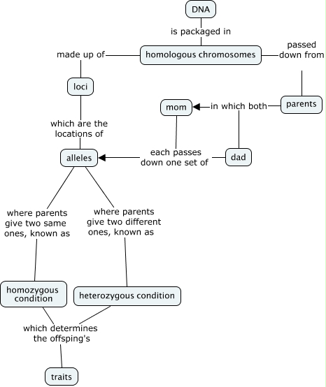 Inheritance - How are traits passed to offspring?