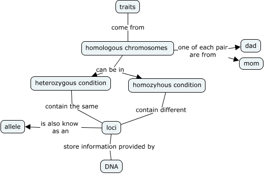 Traits & DNA