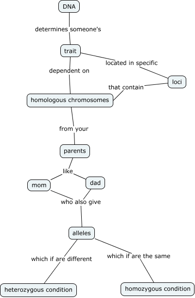 Inheritance - How are traits passed to offspring?