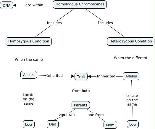 Inheritance terms - How are traits passed to offspring?