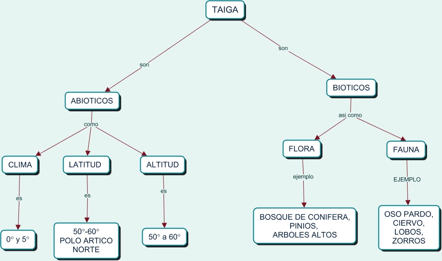 Actividad 7. Taiga