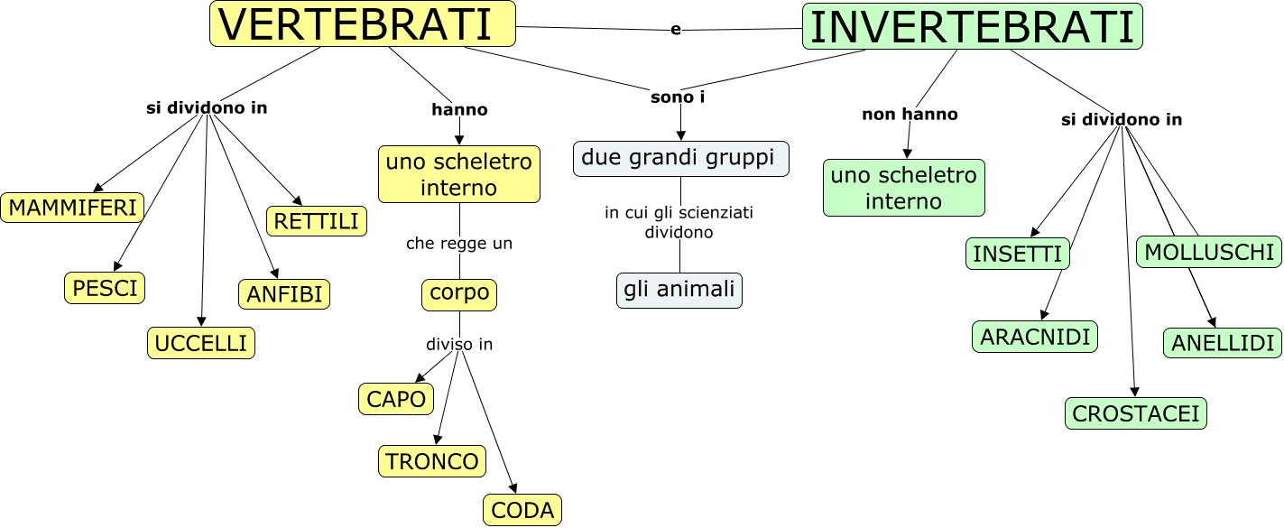 vertebrati e invertebrati - quali grandi gruppi conosci
