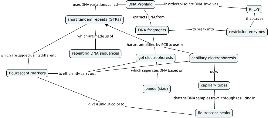 DNA Profiling - How is DNA profiling accomplished?