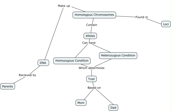 Inheritance - How are traits passed to offspring?