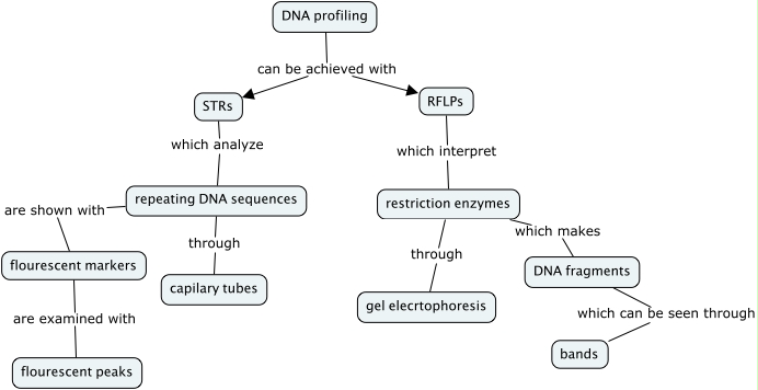 DNA profiling