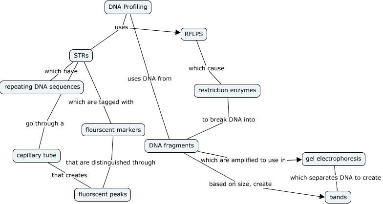 DNA Profiling