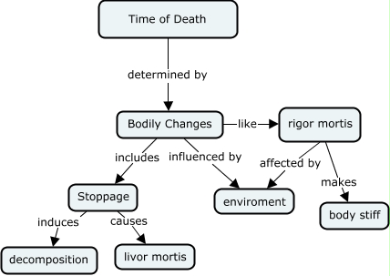 Time of Death Concept Map