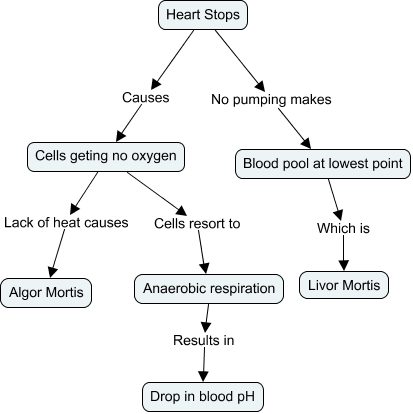How to determine time of death 1