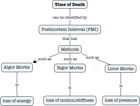 Time of Death - What methods can be used to identify time of death?