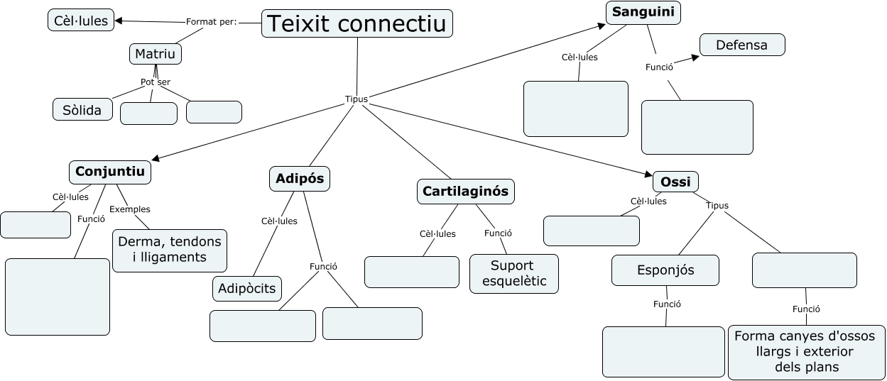 teixits 1