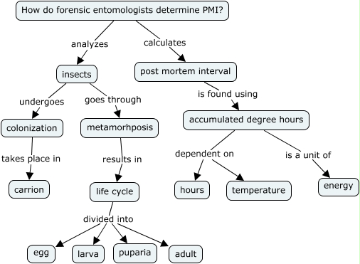 Entomologists - How do forensic entomologists determine PMI?