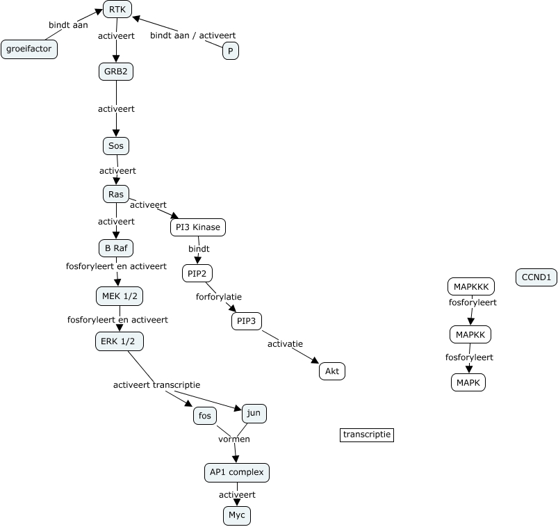 2A RTK pathway