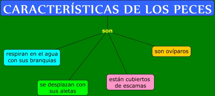Características de los peces