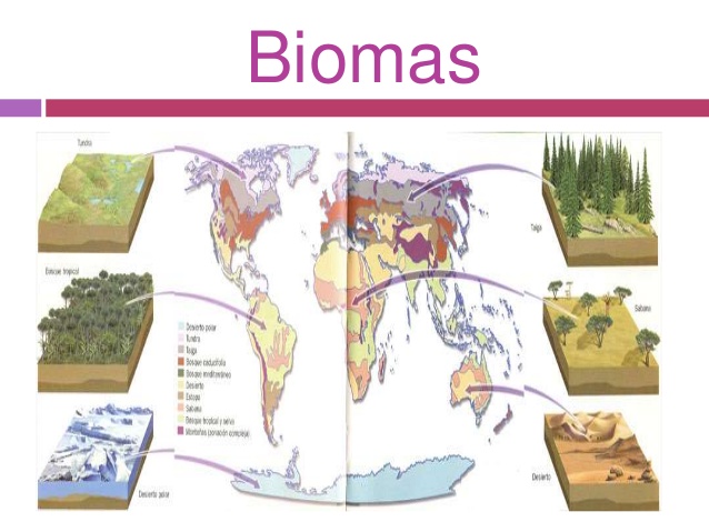 MAPA BIOSFERA - ECOLOGIA