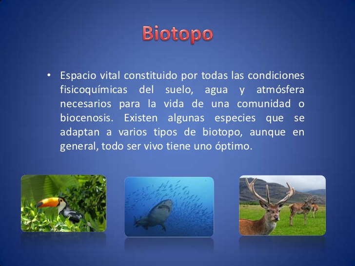Ecologia