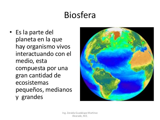 Ecologia