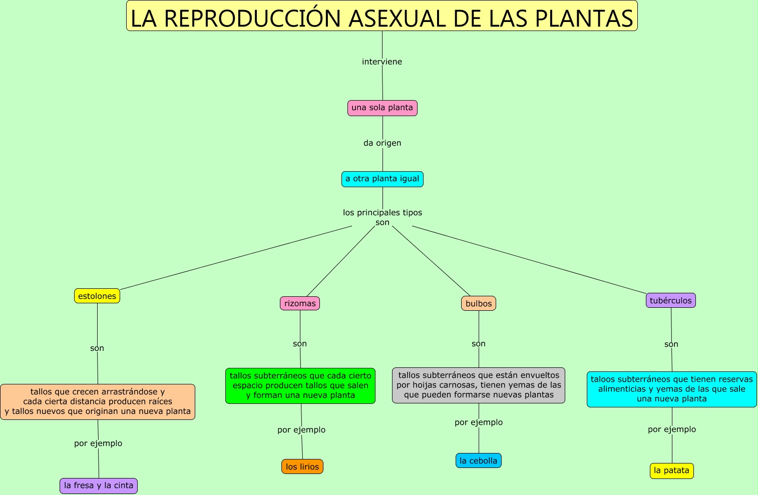 La reproducción asexual de las plantas