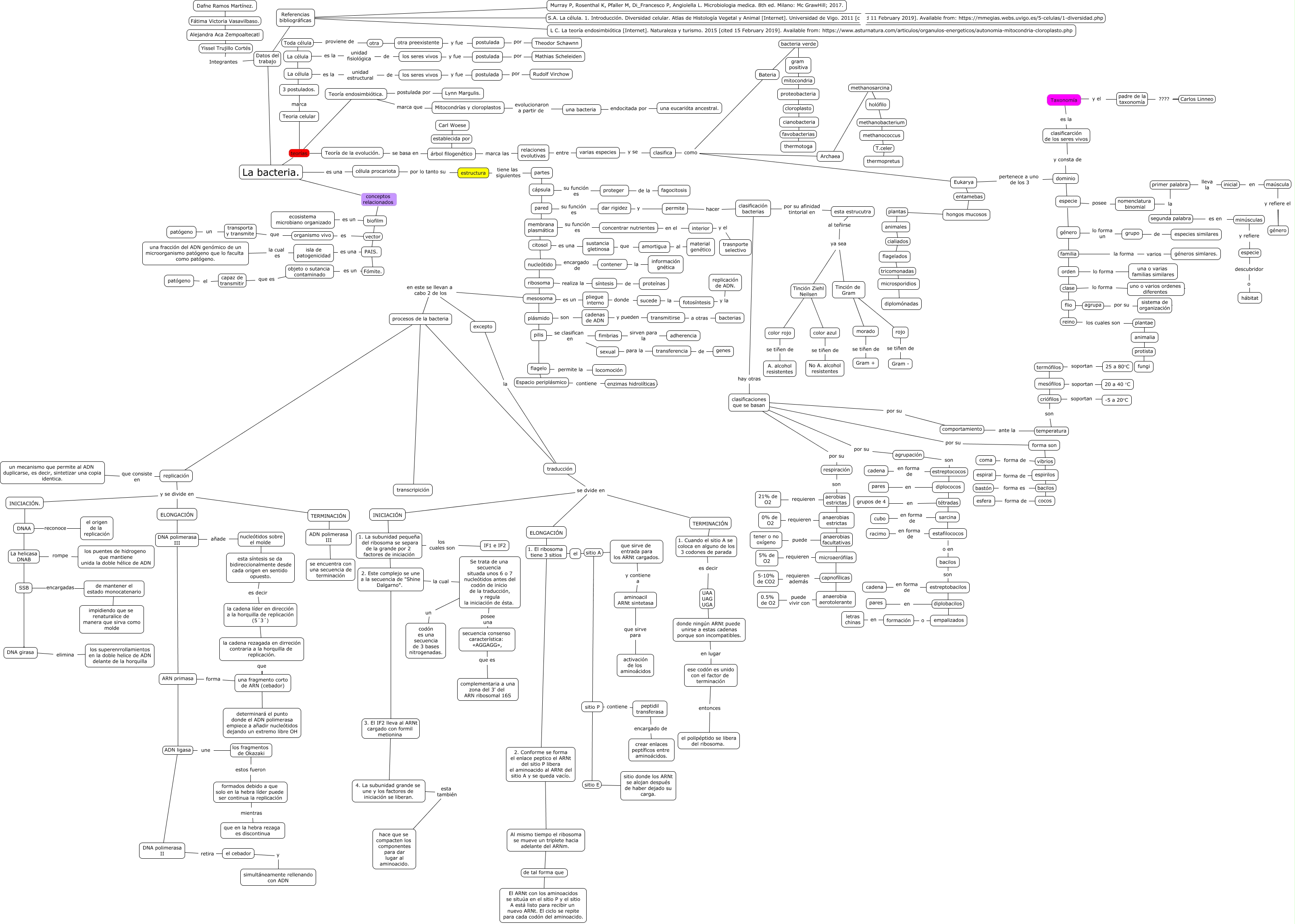 Microbiología-bacterias