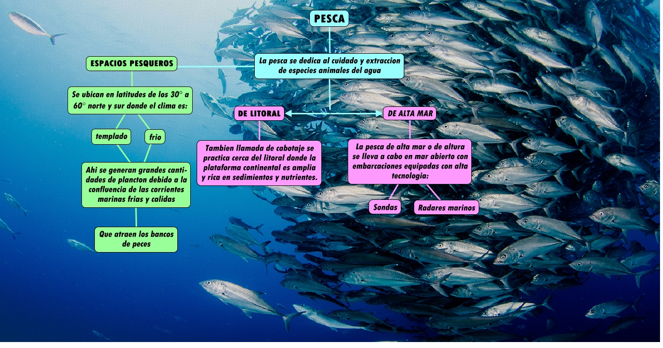 pesca