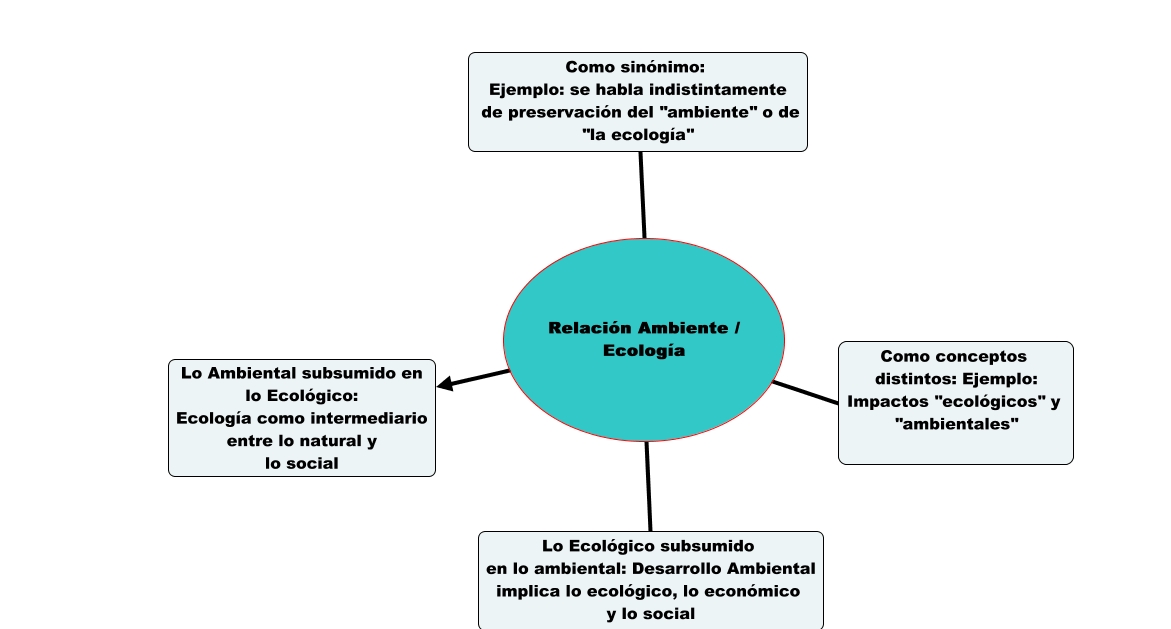Figura 1 Relación Ambiente ecología