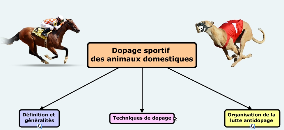 Agents dopants groupe 5