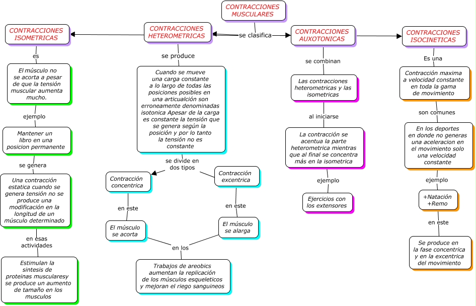 CONTRACCIONES MUSCULARES