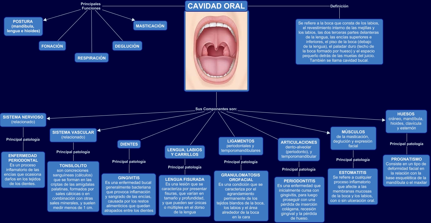 CAVIDAD ORAL_Jimena Bolivar
