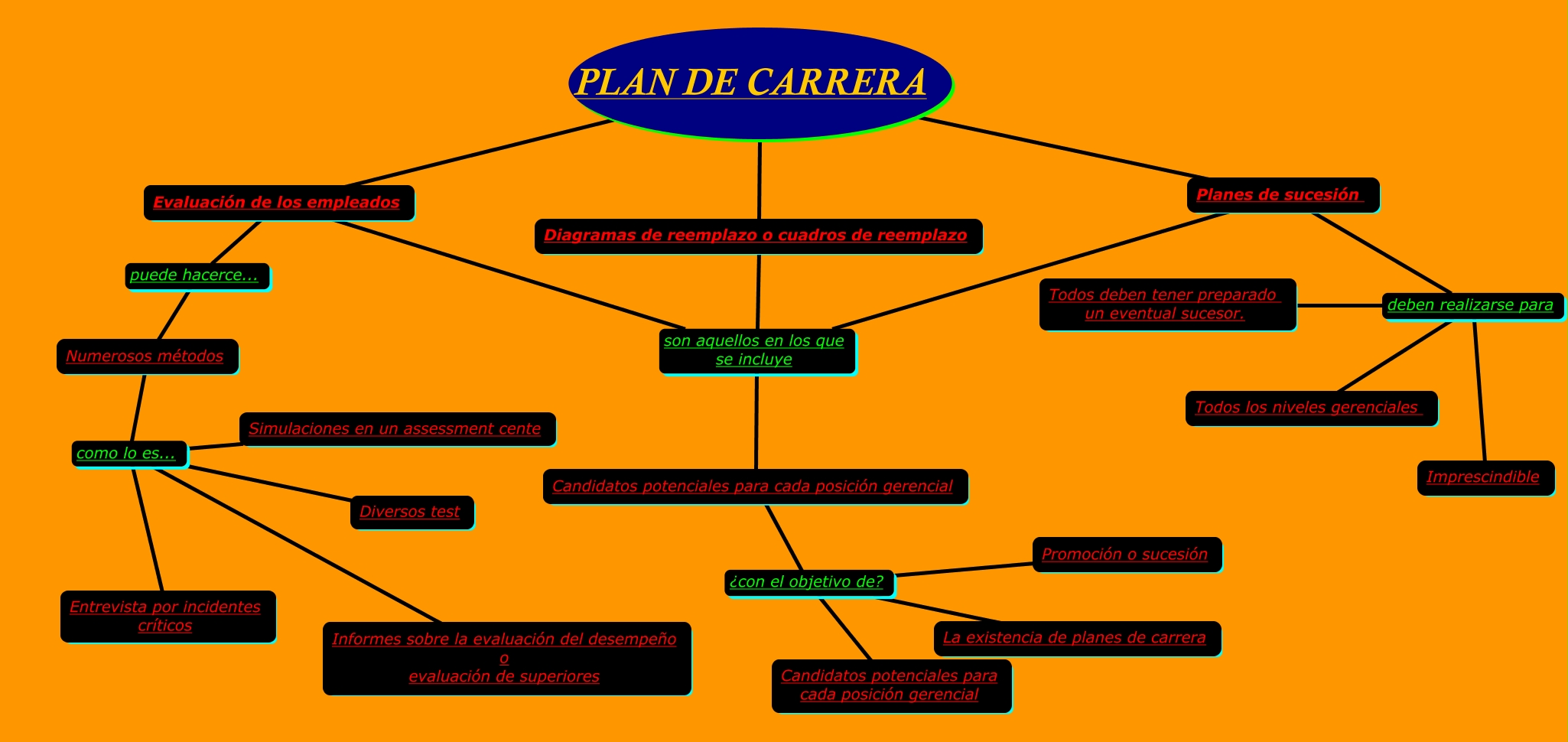3.4. Plan de carrera