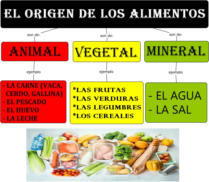 EL ORIGEN DE LOS ALIMENTOS