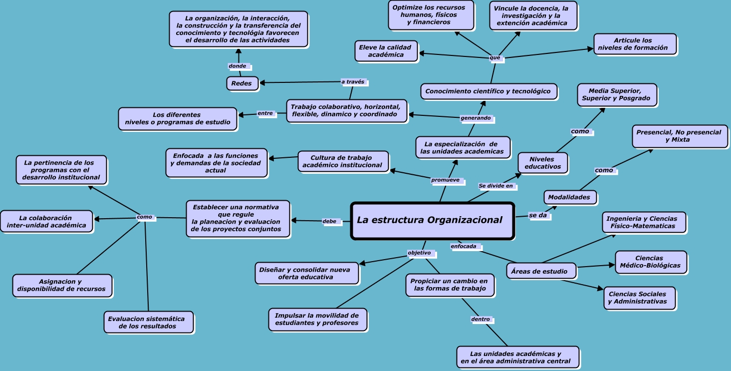 la estructura organizacional_bbnv