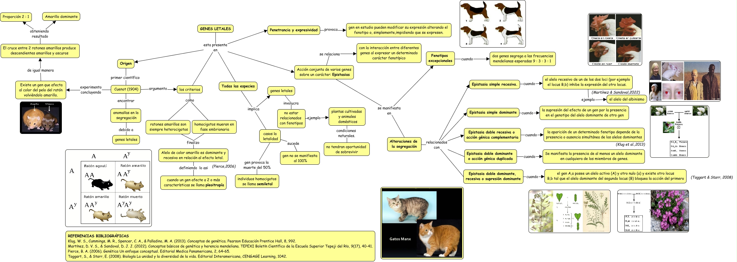 OGO1_PQYB_GENÉTICA Y EMBRIOLOGÍA_GENES LETALES