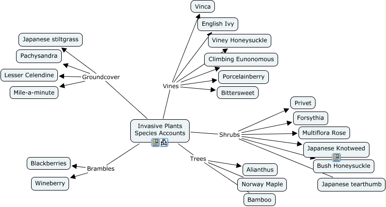 Invasive Plants Species Accounts