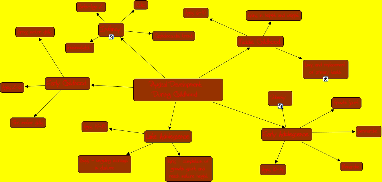 What Is The Difference Between Cephalocaudal And Proximodistal Development