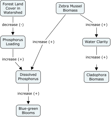 SimpleFCM_Eutrophication - What are the factors responsible for re ...