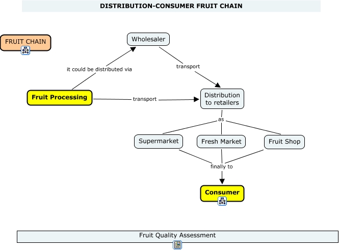Distribution-Consumer chain