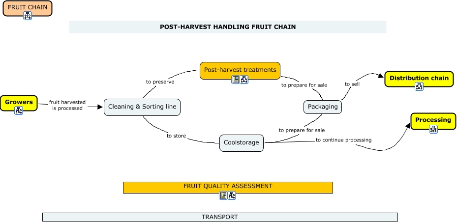 Post-harvest chain - How is the post-harvest process?